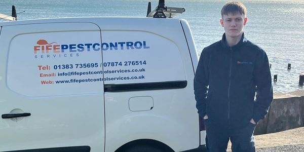 Pest Control Fife, Wasp Nest Removal Fife, Fife Council Trusted Pest Control